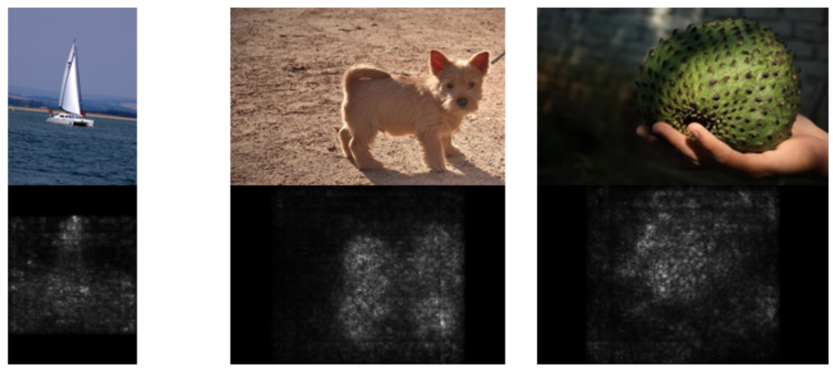 Advanced Feature Attribution Techniques for Deep Learning Models